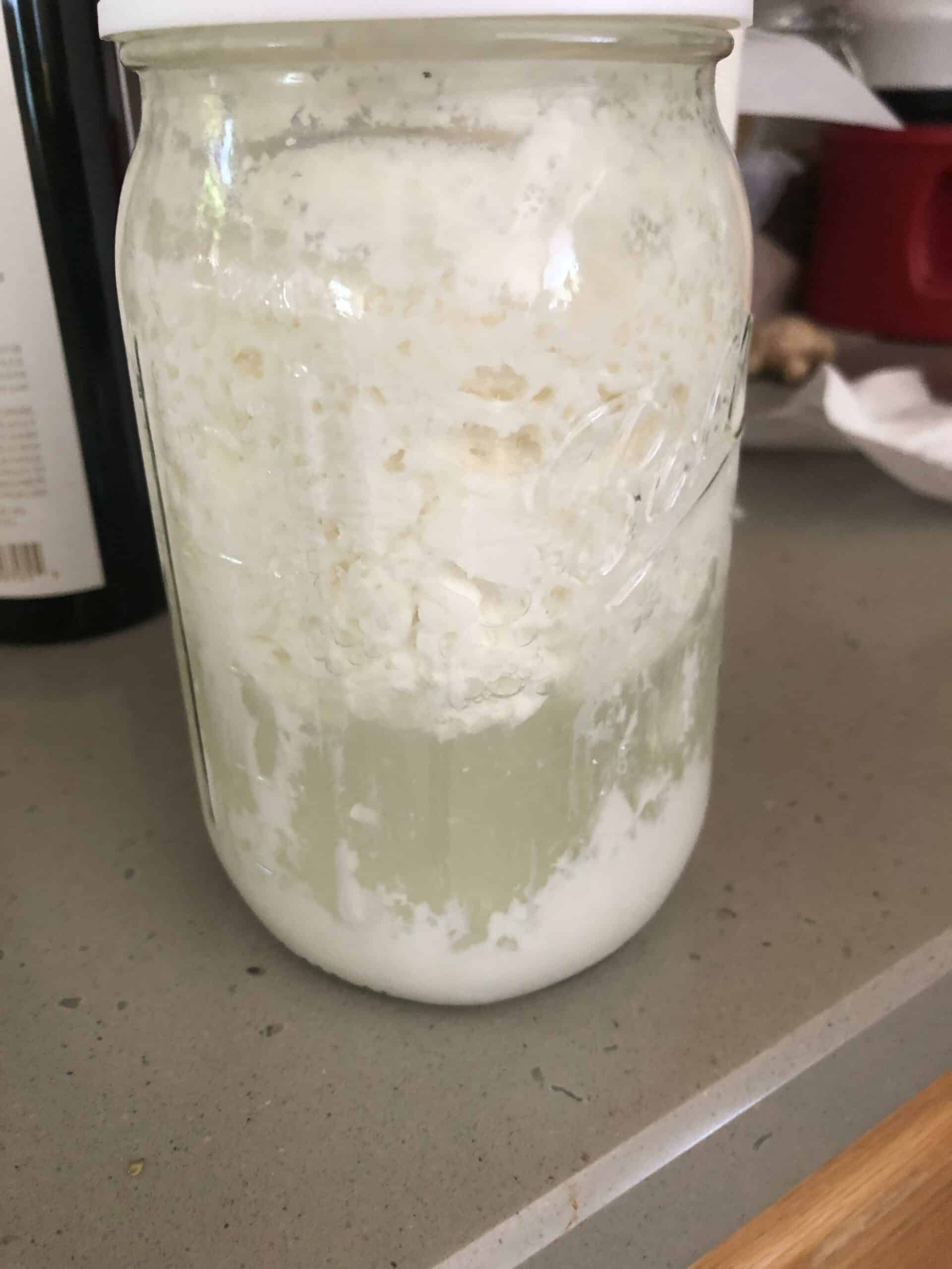 Why temperature is a very important variable in making Kefir